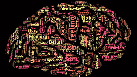 Researchers Discover New Ways to Shut Down Signals Involved in Brain ...