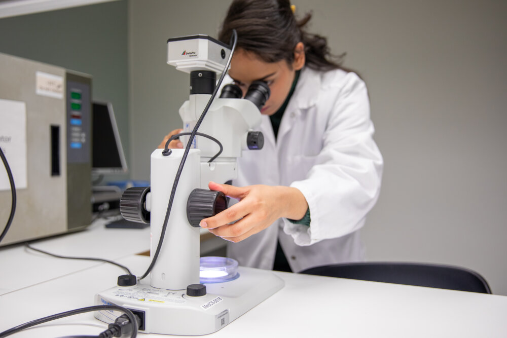 Master's Degree Programme in Biomedical Imaging | University of Turku