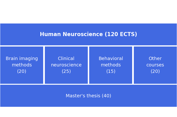 Master's Degree Programme in Human Neuroscience | University of Turku