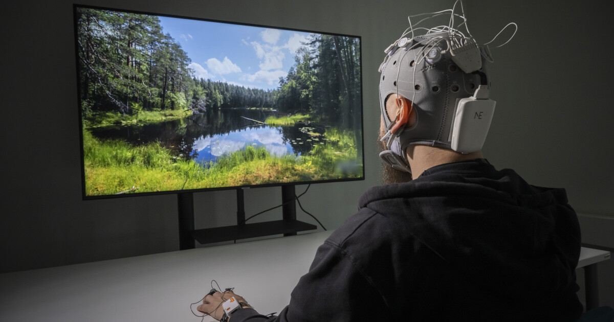 The Health Campus Turku collaborative project: Joint research lead to ...