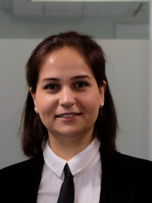 Golnaz Sahebi | University of Turku