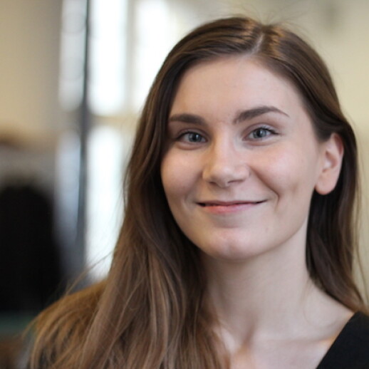 Inequalities, Interventions and a New Welfare State INVEST | University ...